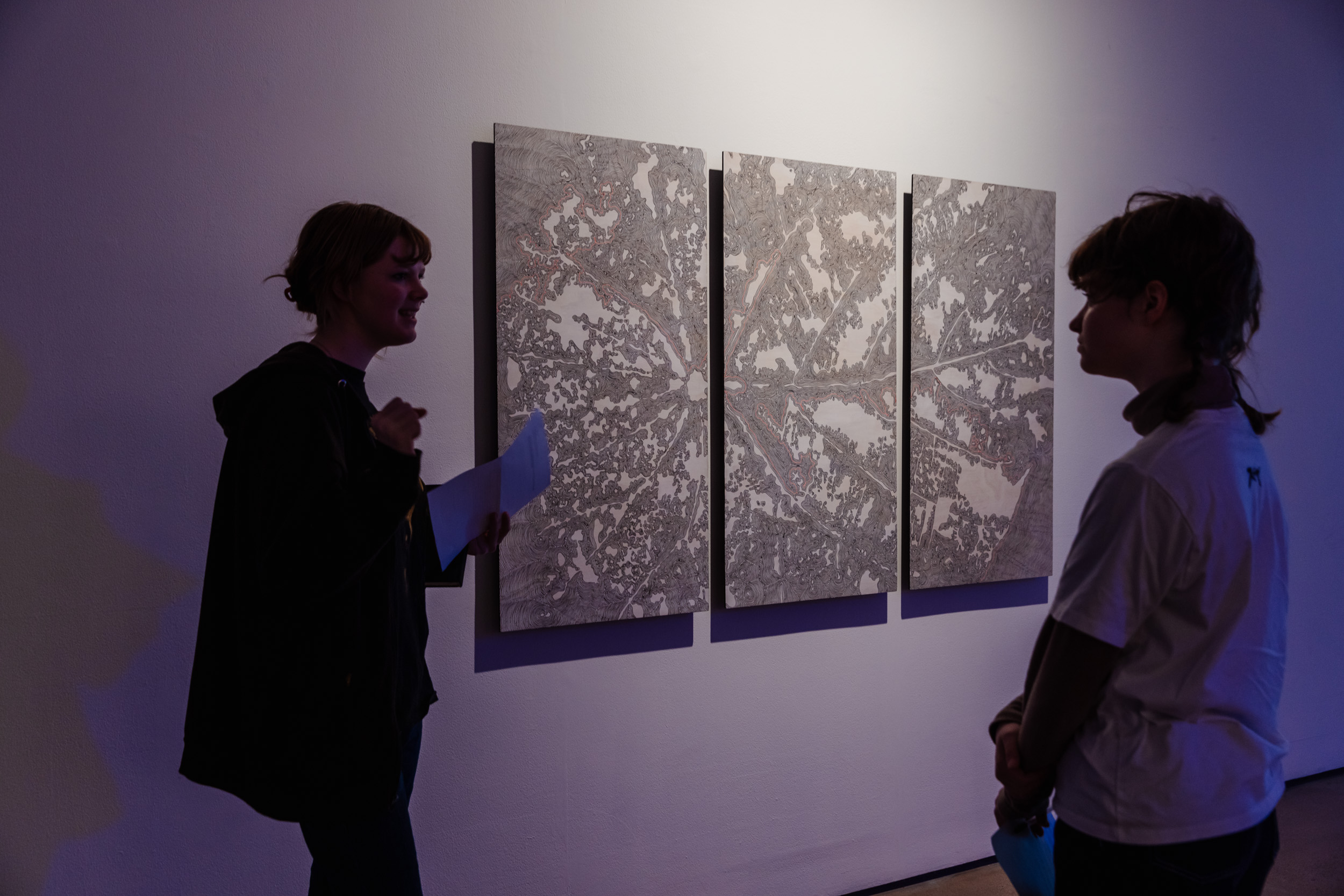 'The Visual Field' in Brisbane - Flying Arts Alliance