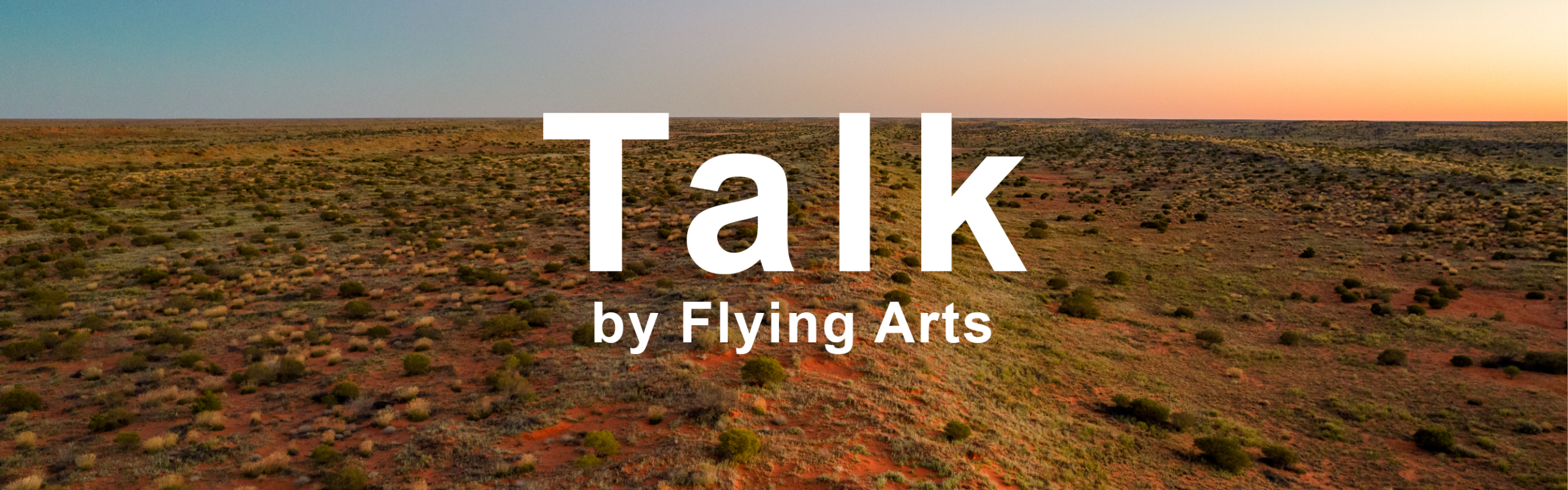 Talk by Flying Arts - Flying Arts Alliance